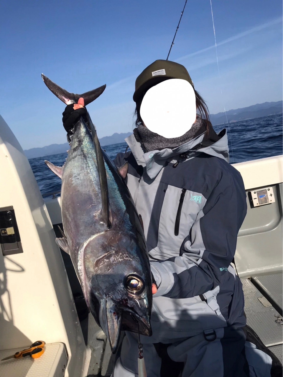 トンジギ絶好調!!4人で20以上ヒット14本キャッチ!! inゴールデン トンジギ絶好調!!4人で20以上ヒット14本キャッチ!! inゴールデン