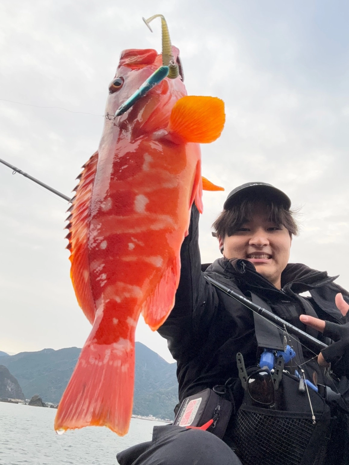 西伊豆地磯良型アカハタ釣れました！！ | 釣具のイシグロ | 釣り情報サイト